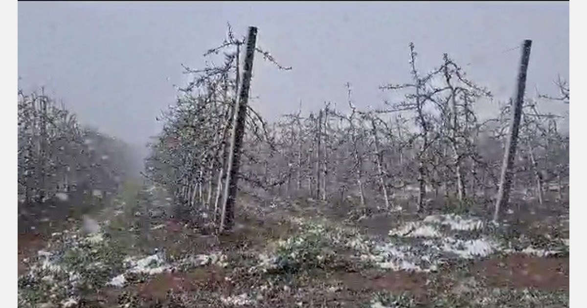 Late snow in the Boland as country prepares for El Niño