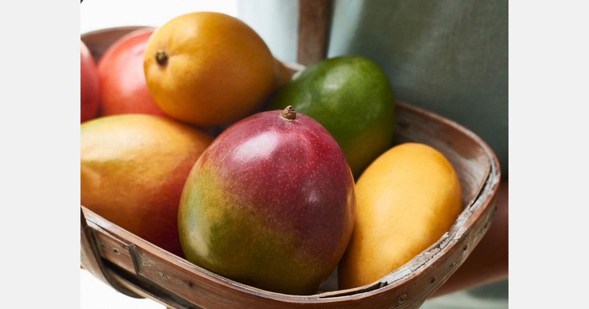 Mango board announces Mango Retailer of the Year