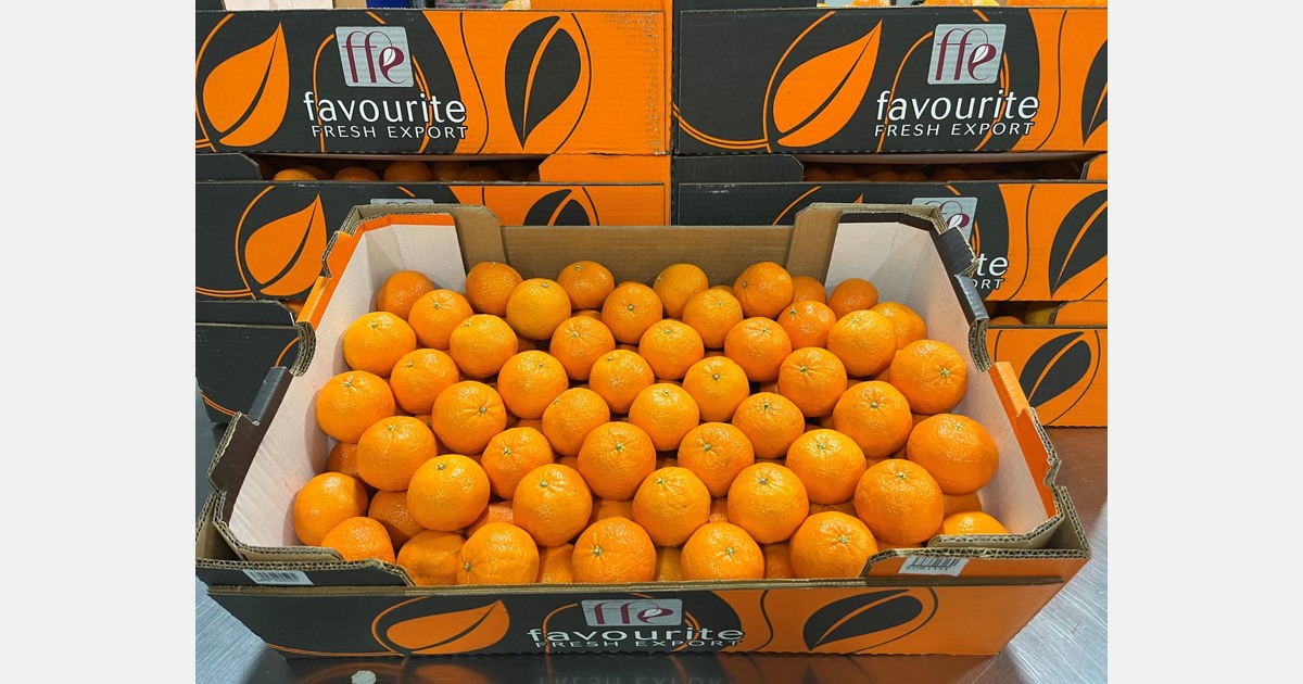 Second half of citrus import season sees much improvement from first half