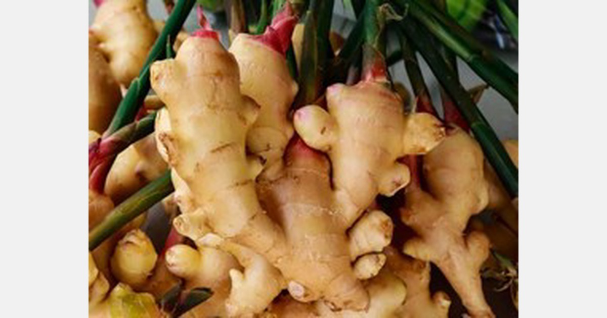 Nigerian ginger exports reach N10 billion