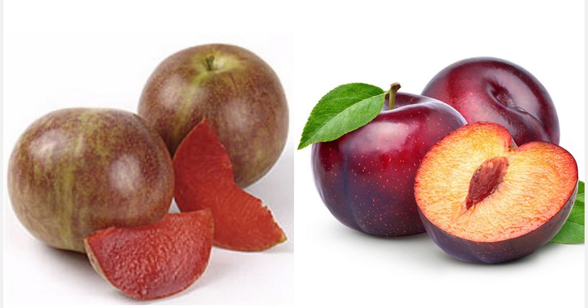 Expansion of premium stone fruit line up from the southern hemisphere