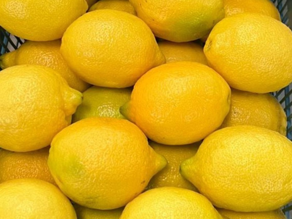 Egyptian lemons coming soon