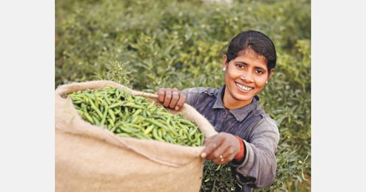 70% of farmers have already seen large impacts of climate change on ...