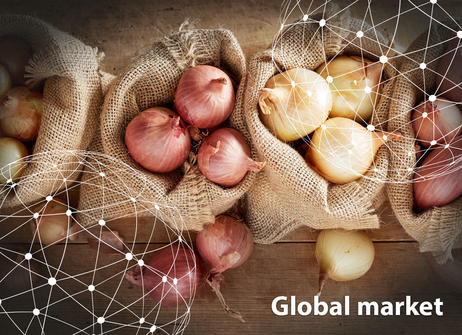 GLOBAL MARKET OVERVIEW ONIONS