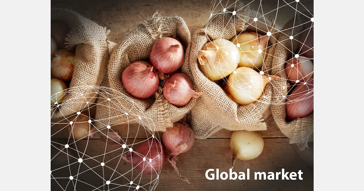 GLOBAL MARKET OVERVIEW ONIONS