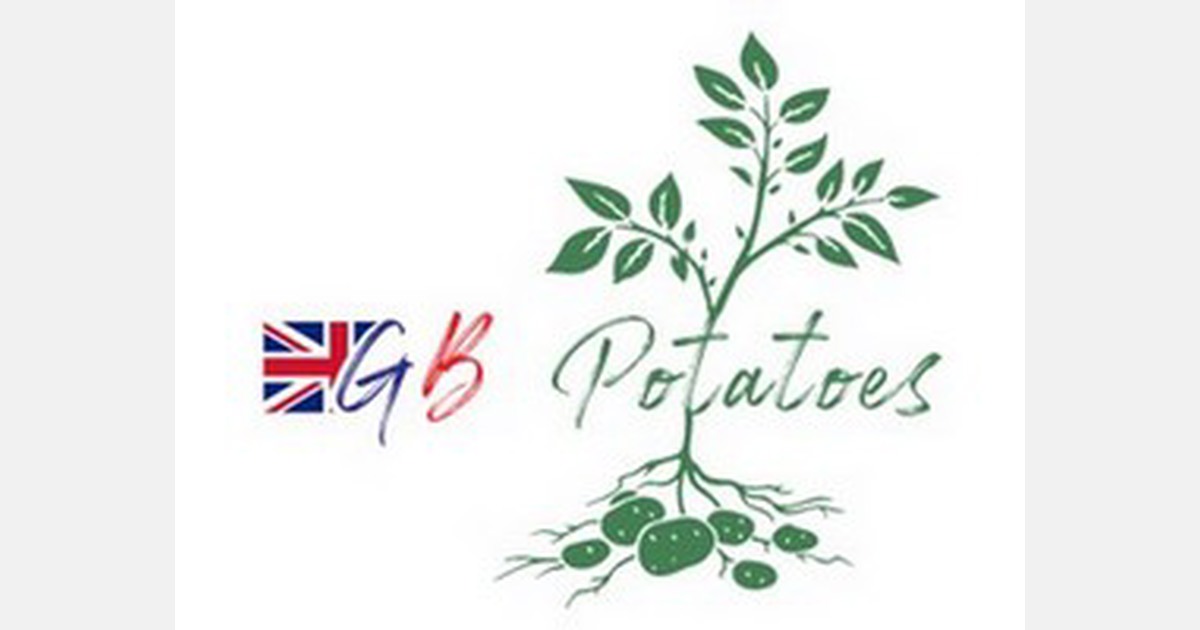 GB Potatoes appoints new CEO
