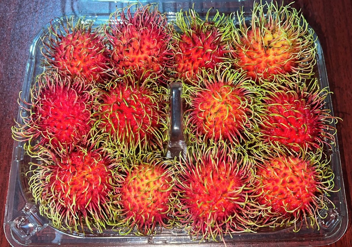 Rambutan pricing expected to firm up in coming weeks when competition decreases