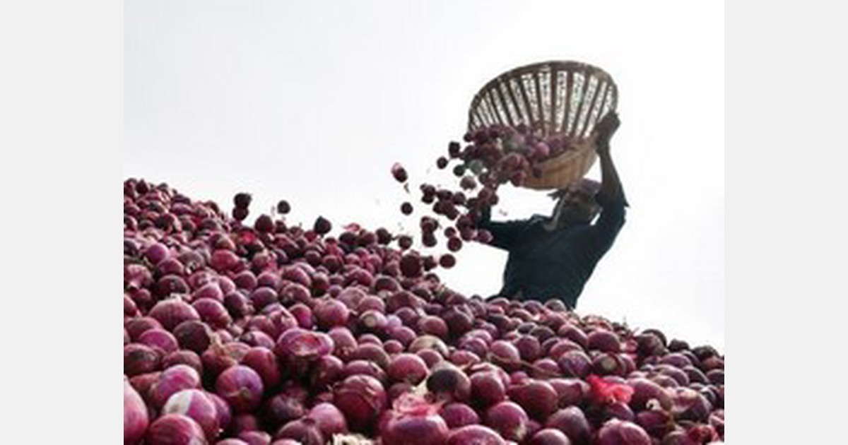 Onion traders’ strike in Maharashtra unlikely to impact onion prices in Tamil Nadu