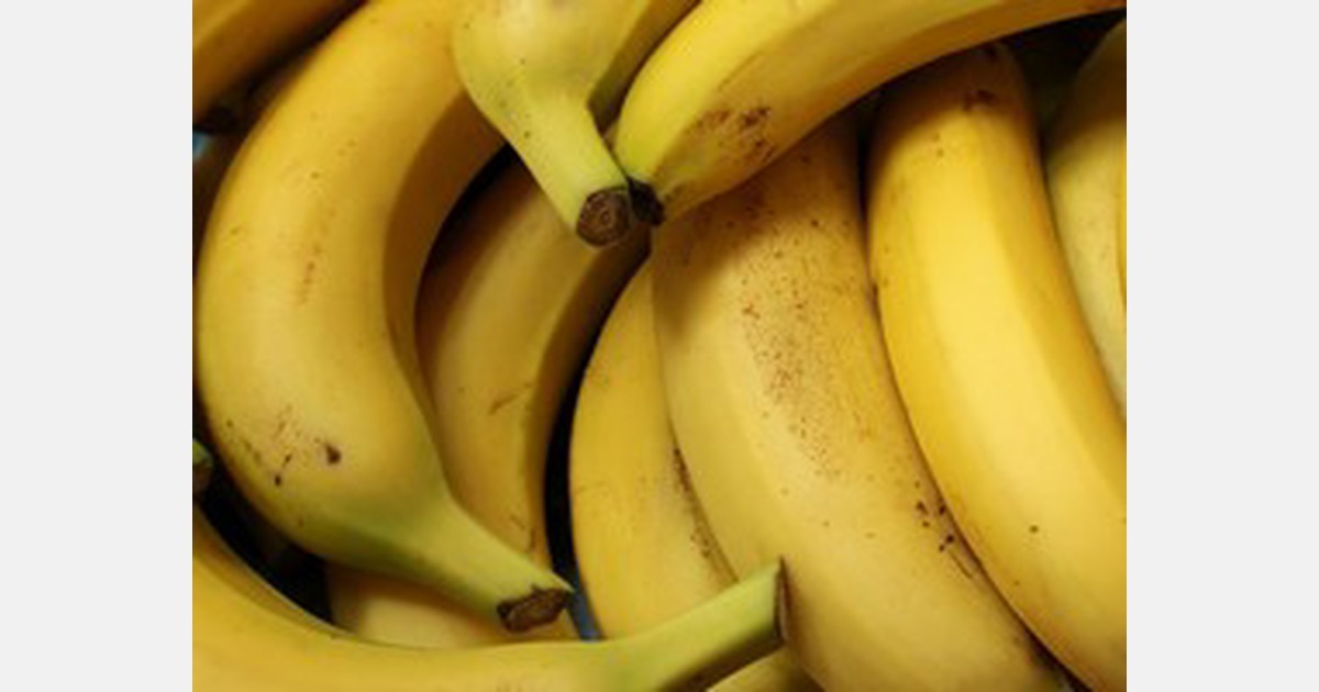 World's first genetically-modified banana might become Australia's ...