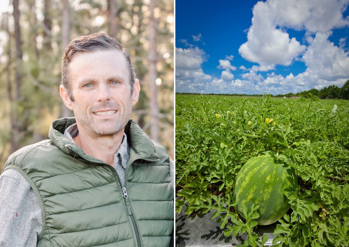 Lipman appoints new head of watermelon sales