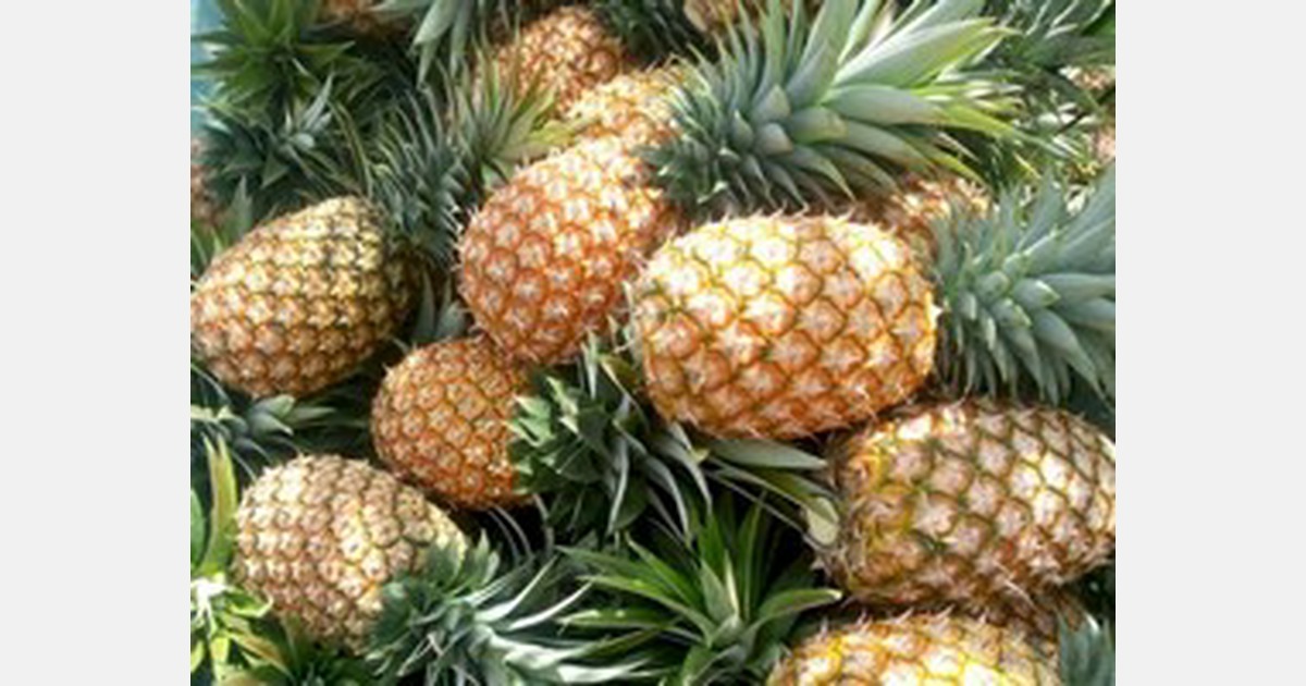 Benin hopes to enter China’s fruit export market