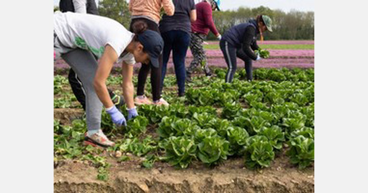 Rising farm costs threatens UK food production