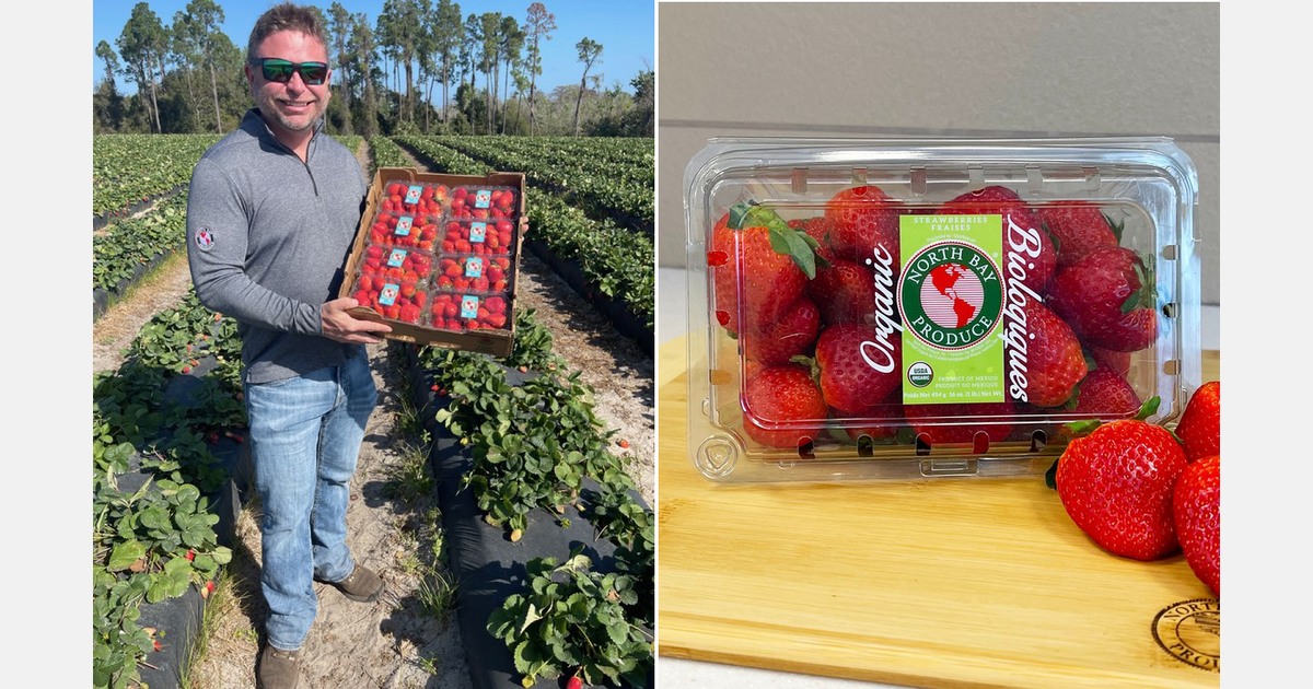 Strengthening commitment to develop a 52-week berry program