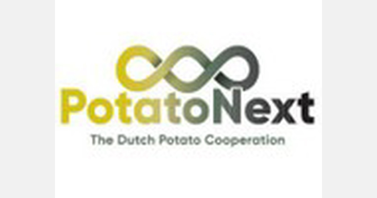 Cooperative launched to reduce waste and maximise value of ware potatoes