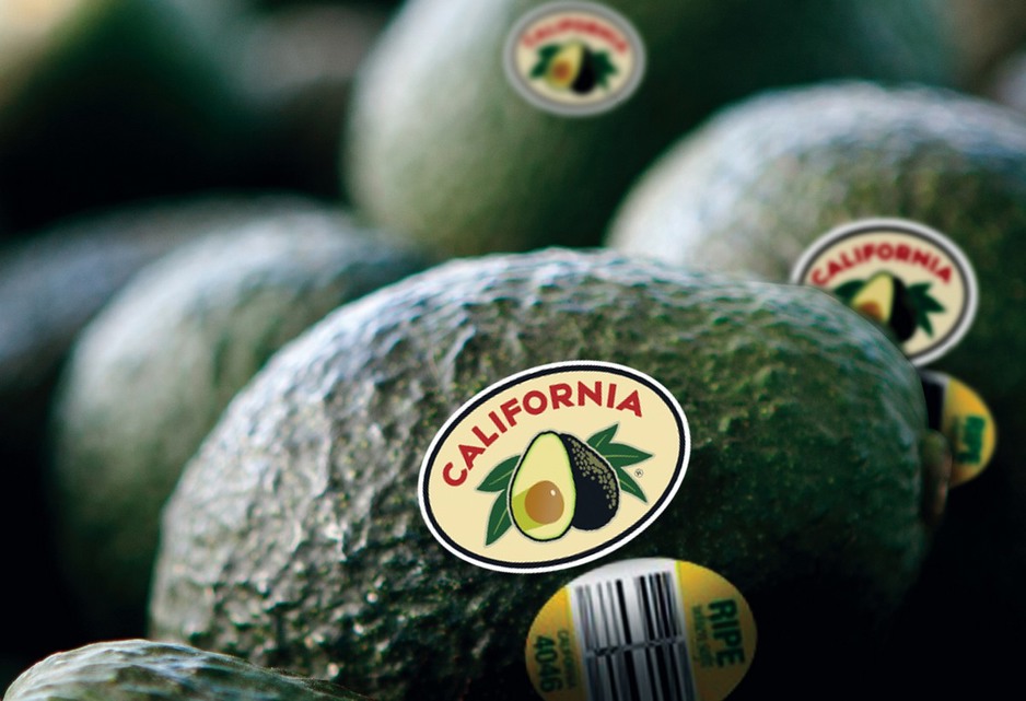 A sneak peek at the 2024 California avocado crop ahead