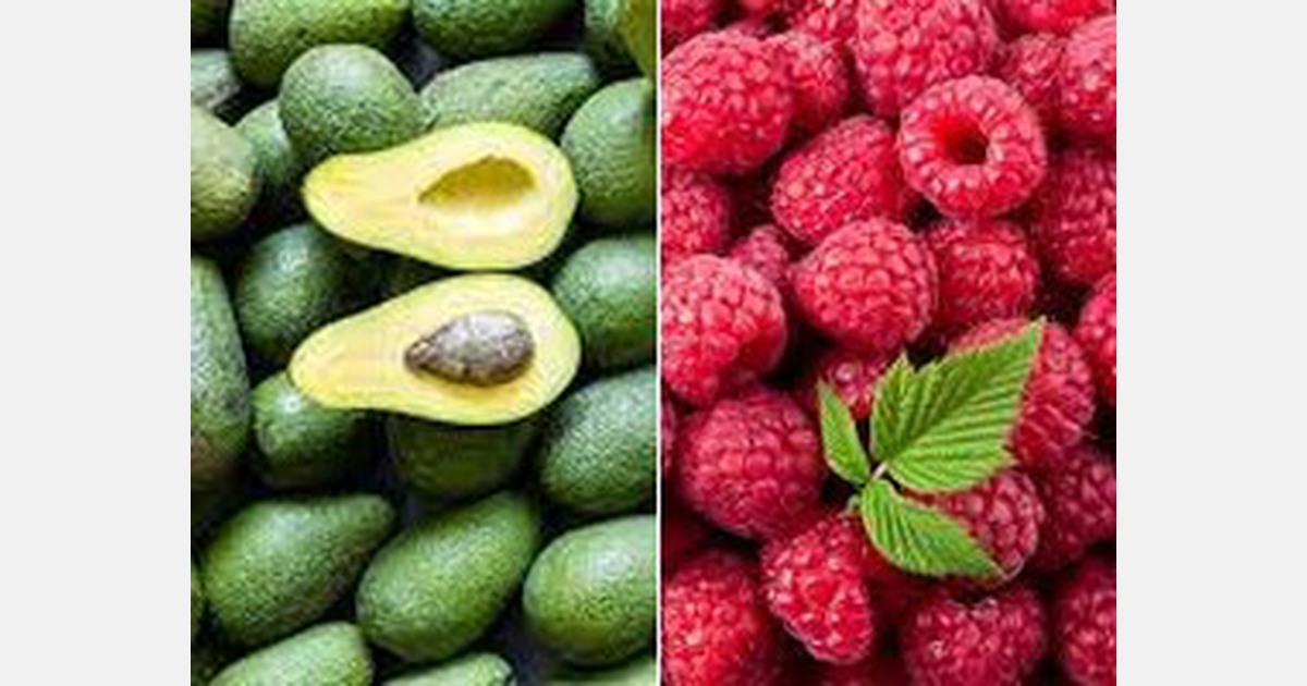 Mexican growers see increased exports of berries and avocados