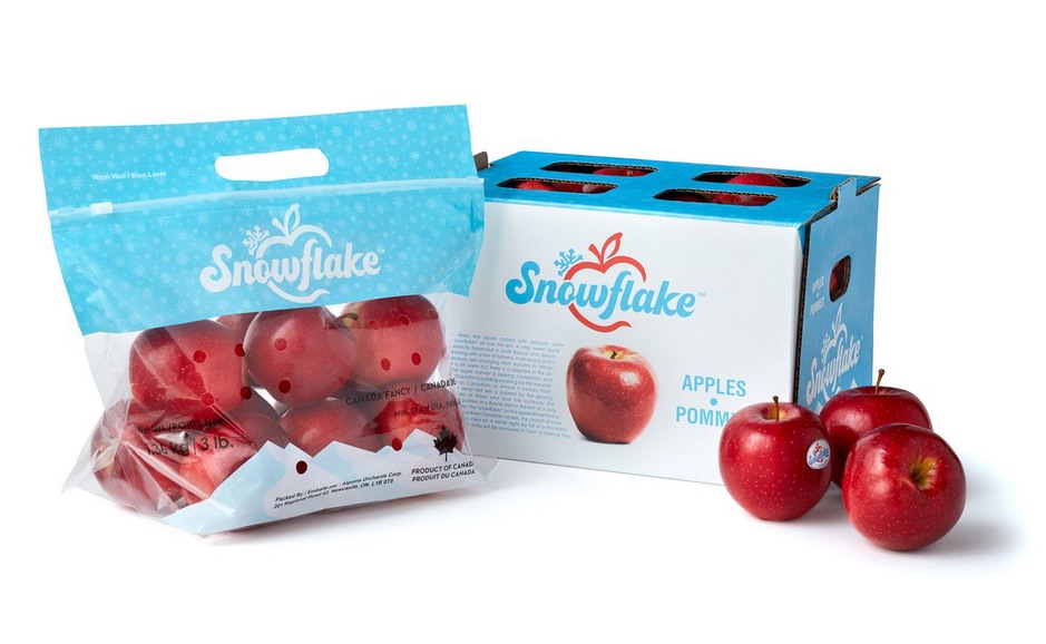 Launch of Canadian Snowflake winter apple