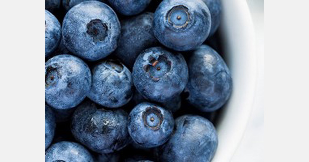 Agrovision and Greenvic expand their alliance to China