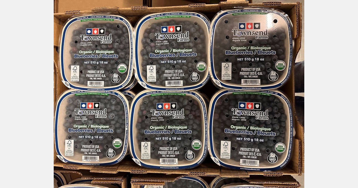 Sustainable packaging for blueberries increasingly making its way into ...