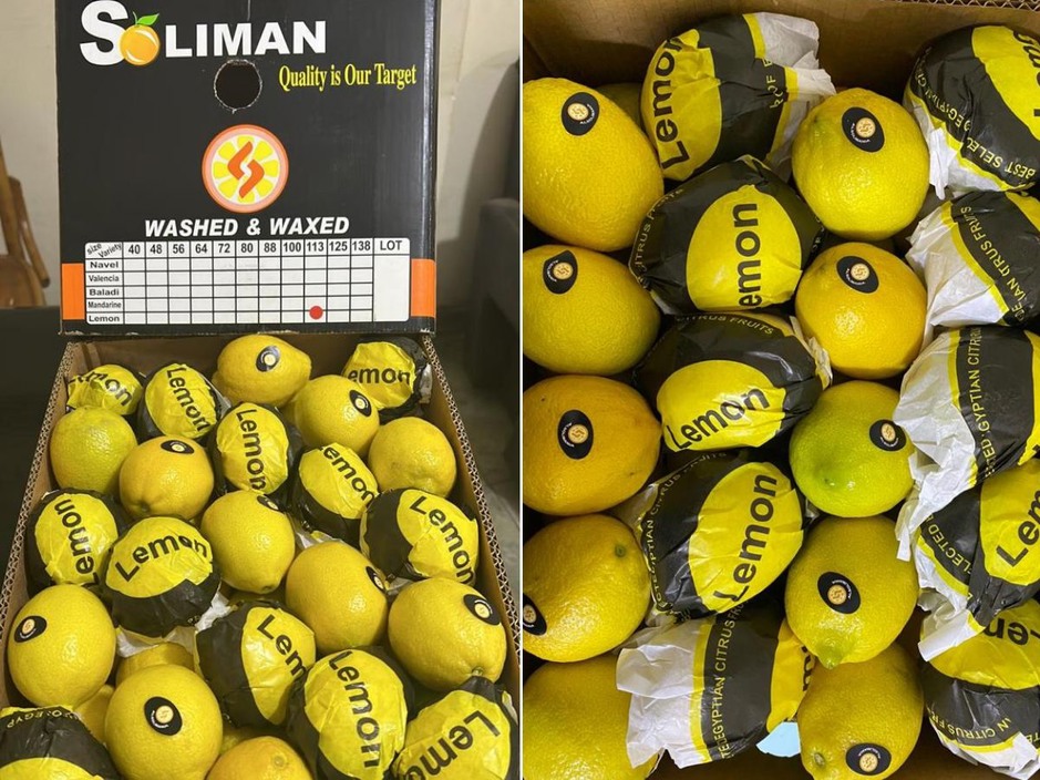 A promising lemon campaign for Egypt