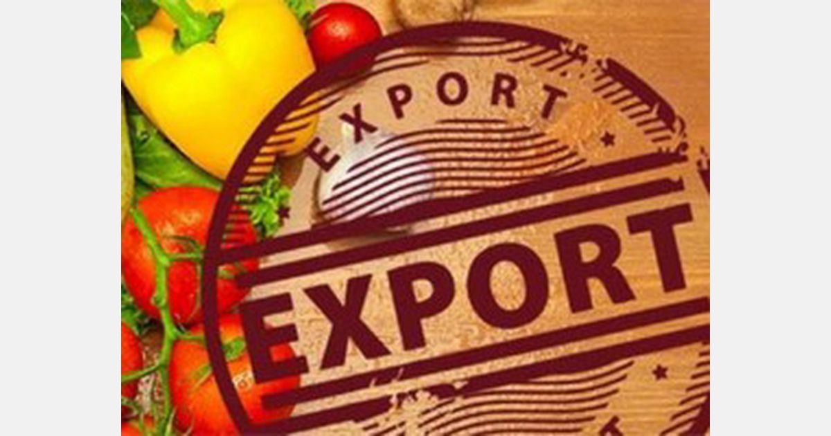 Diversification of exports from Georgia