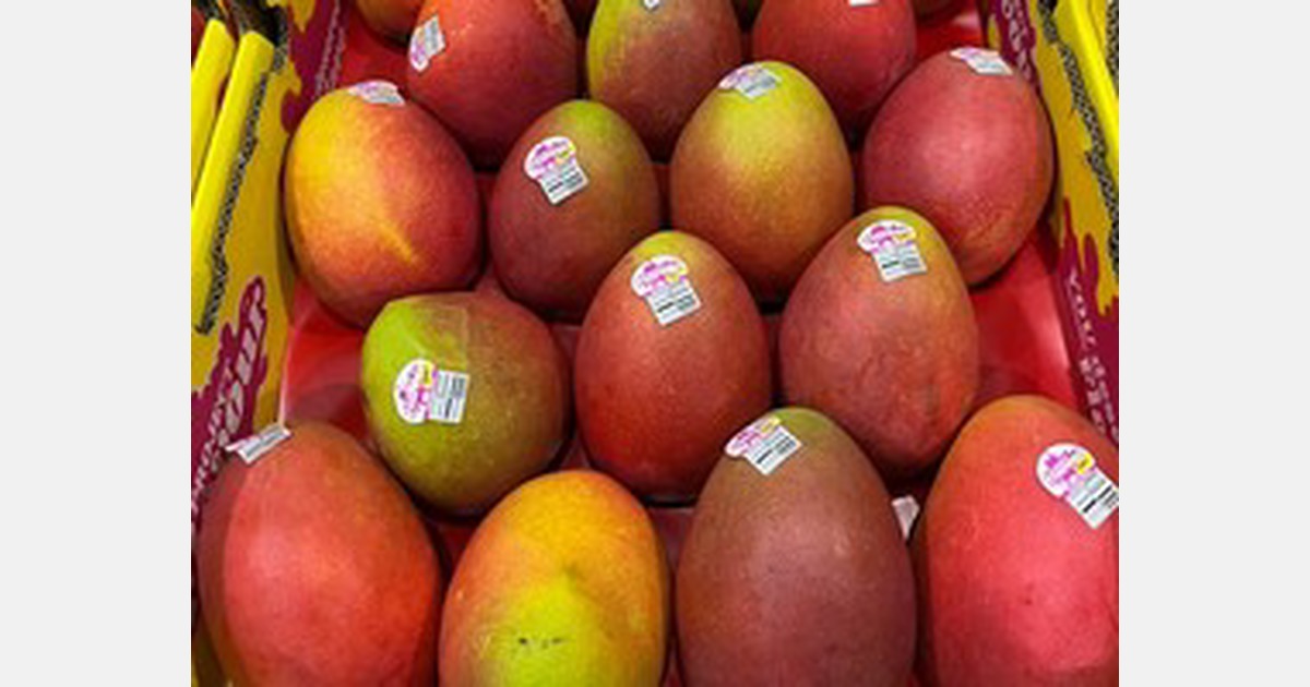 Yess! AhHa! Now! mangoes finally in Australian supermarkets