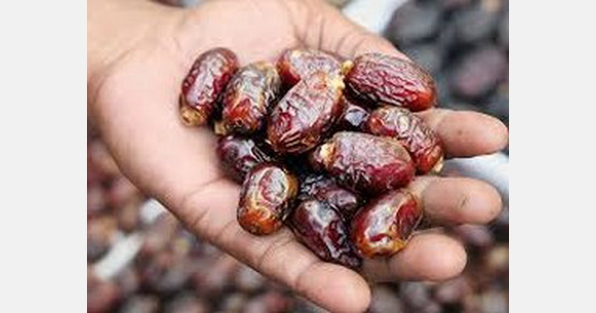 Namibian farm without power, risking produce worth millions