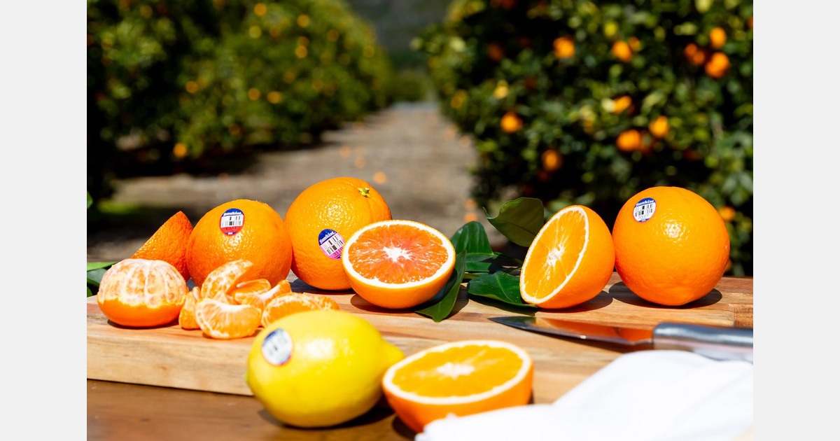 Sunkist unveils new sales strategy