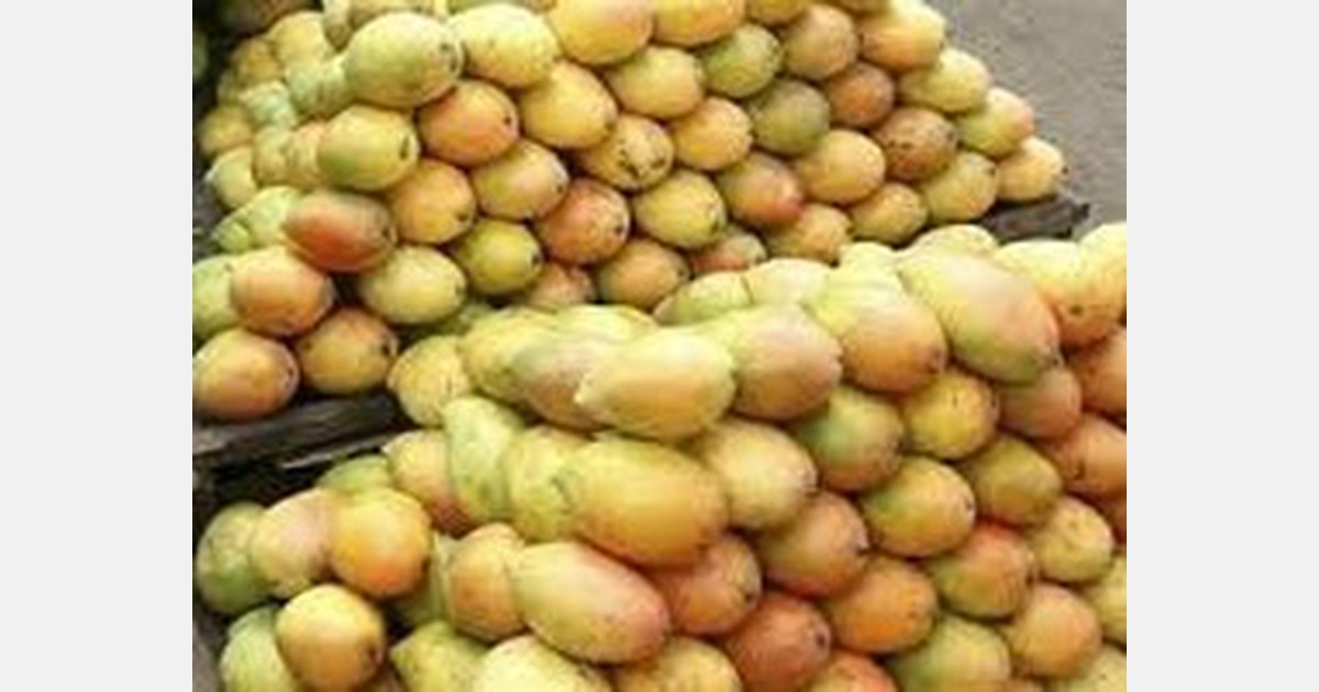 Pakistani mango exports compromised by alleged foul play
