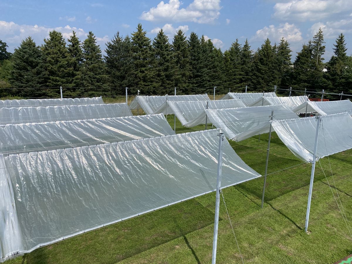 Lower cost automated rain shelter introduced