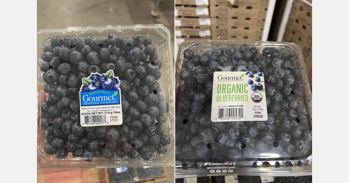 Blueberry prices are historically high
