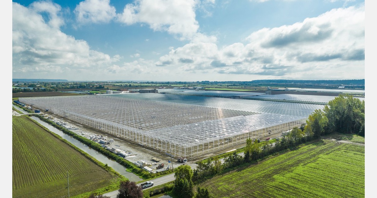 Canadian greenhouse grower expands in Delta, British Columbia