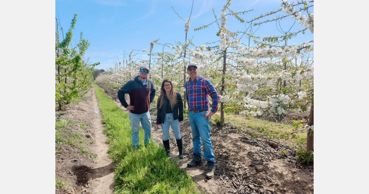 Chilean cherries create ‘Chinese craze’