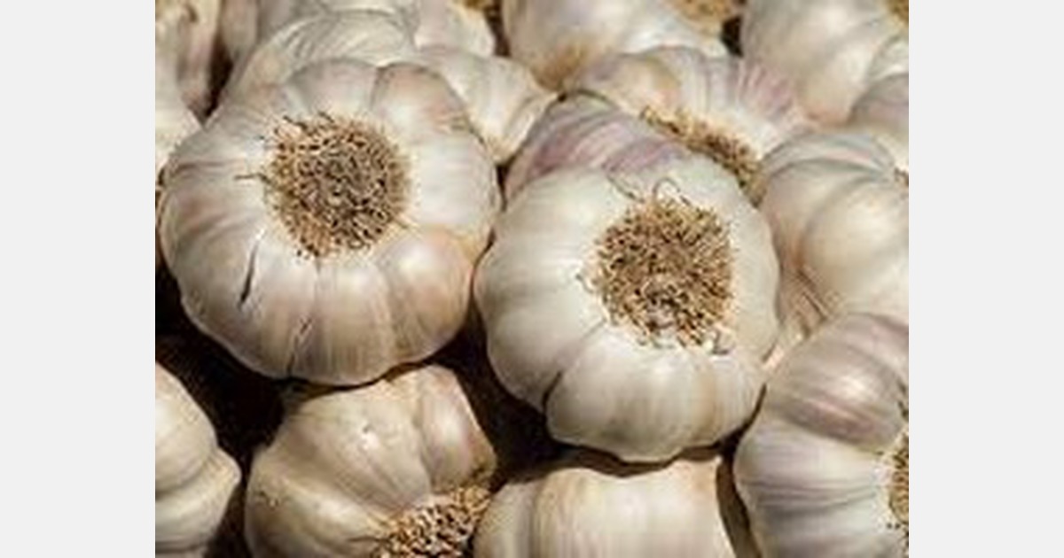 Indonesian government to cut garlic imports by 40 percent next year