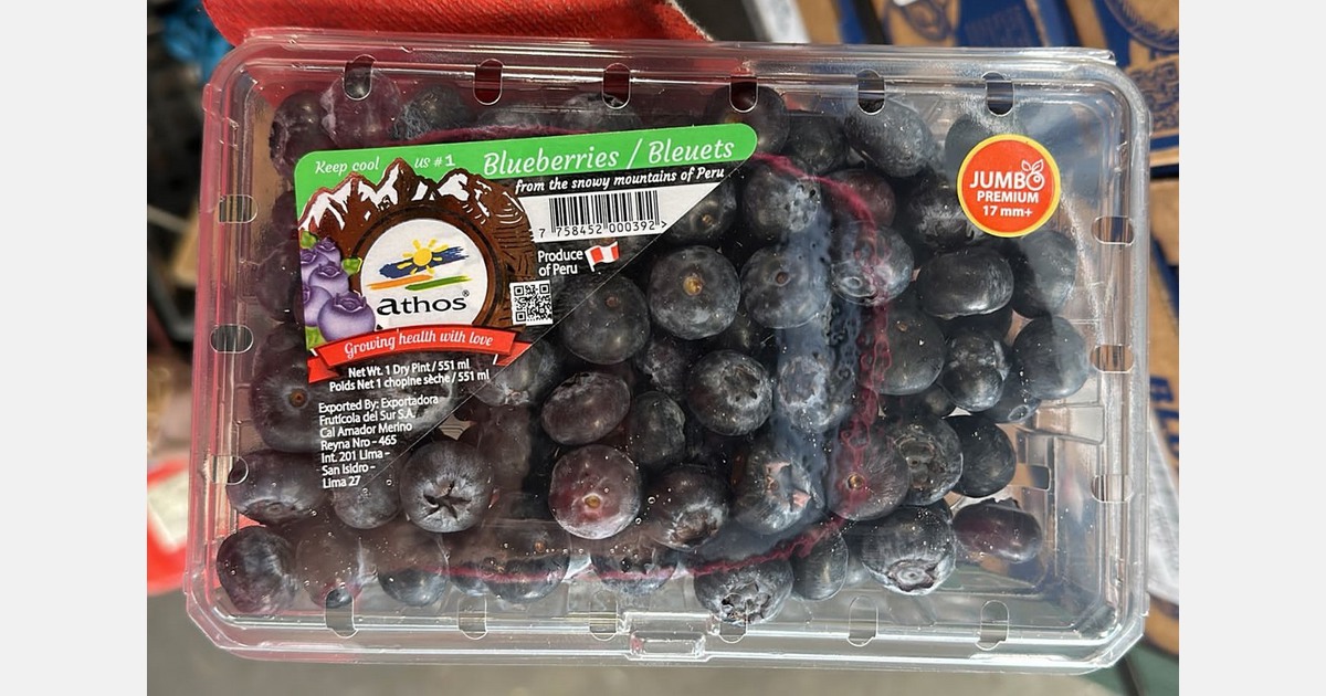 Blueberries seeing triple the pricing of 2022