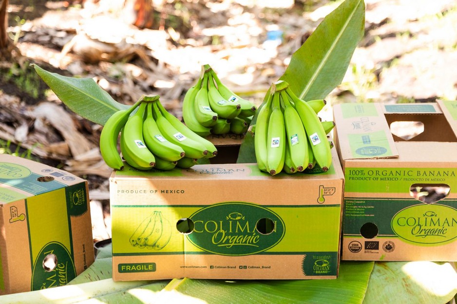 “For our export business, we have transitioned from conventional to ...