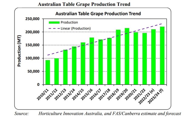 Table grape production expected to increase to record 220,000 tons in MY 2023/2024