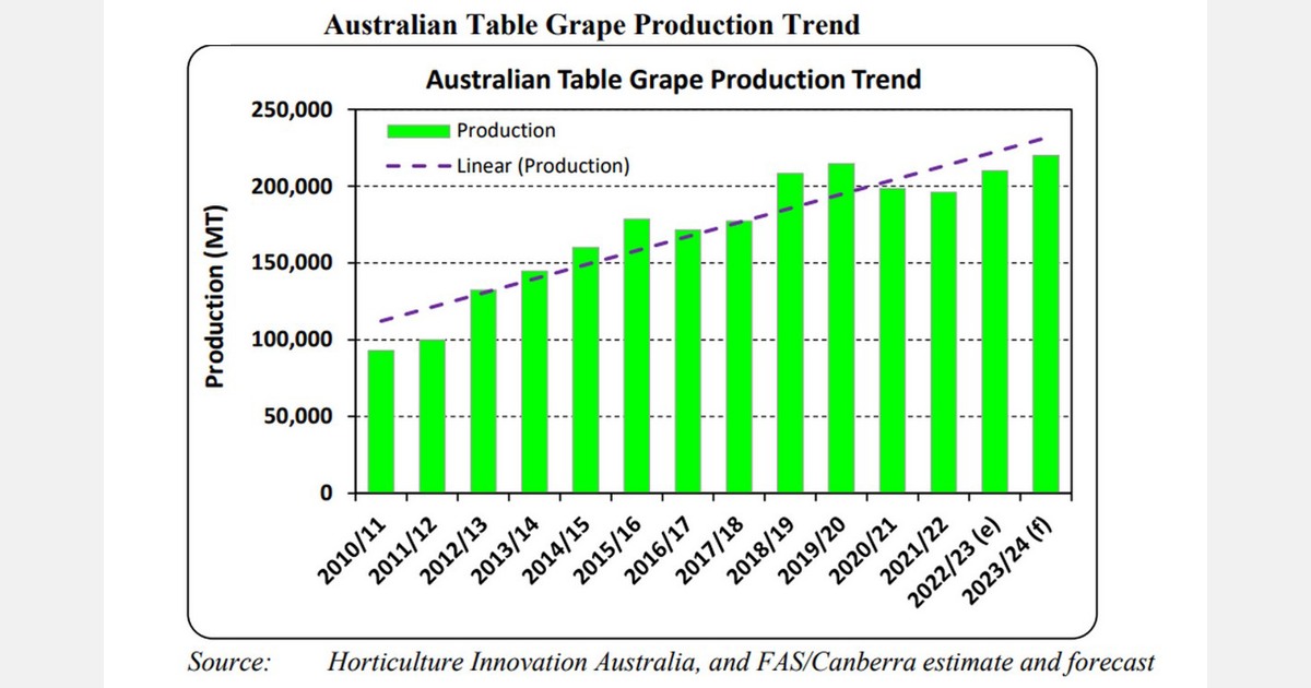 Table grape production expected to increase to record 220,000 tons in MY 2023/2024