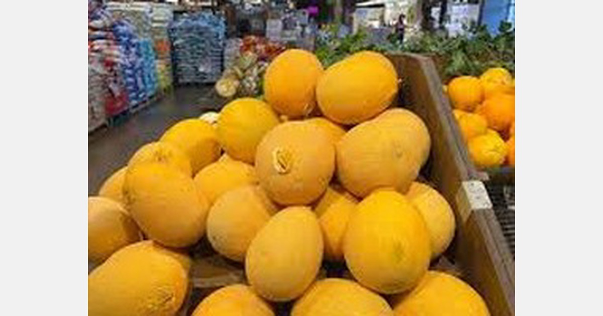Hami melon alliance to advance its development in China