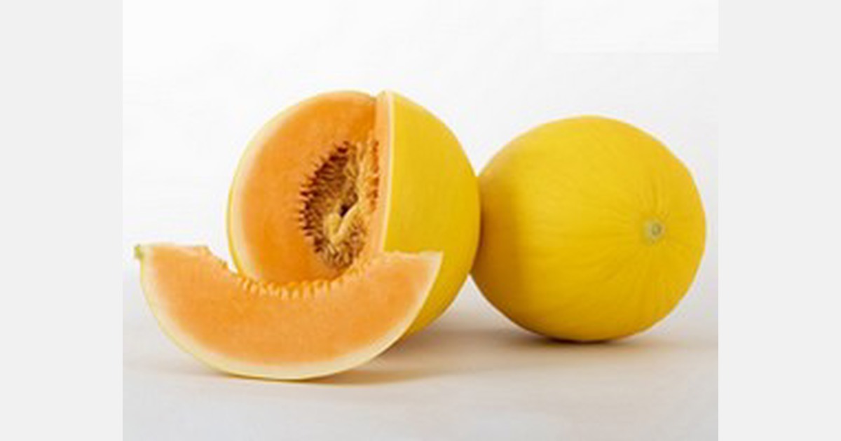 Bayer and Capogreco Farms partner with OrangeCandy melon