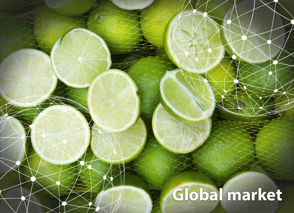 GLOBAL MARKET OVERVIEW LIMES