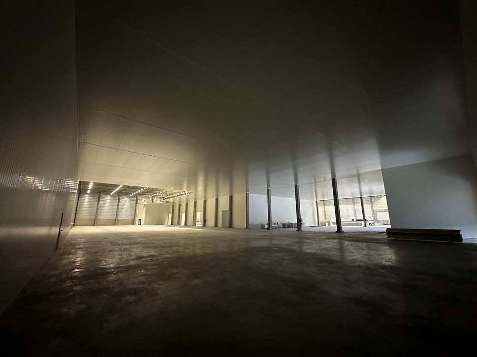 "Growing demand for service concept around RTE products"