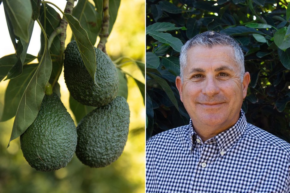 California Avocado Commission successfully petitions USDA