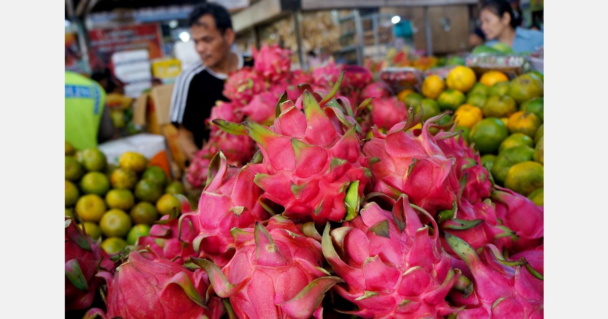 Shrinking Chinese exports halve Vietnamese dragon fruit prices