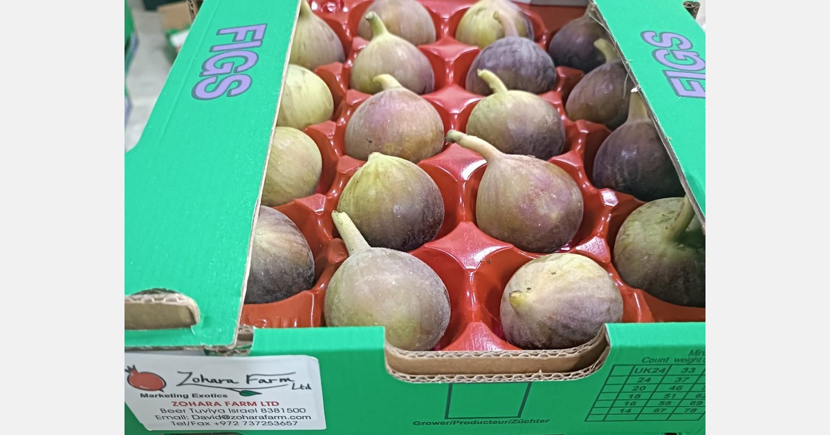 “In Israel we're packing and exporting figs with the help of volunteers”