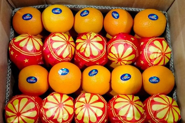 Egyptian orange sizes better than they were last year