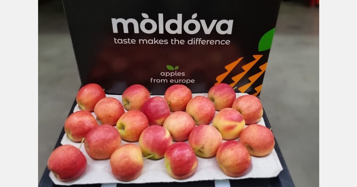 Moldovan fruit sector shows resilience after termination of USAID program