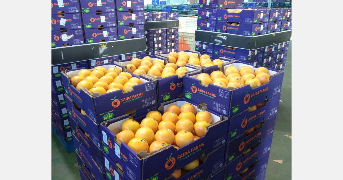 Israeli citrus production expected to reach 160,000 tons