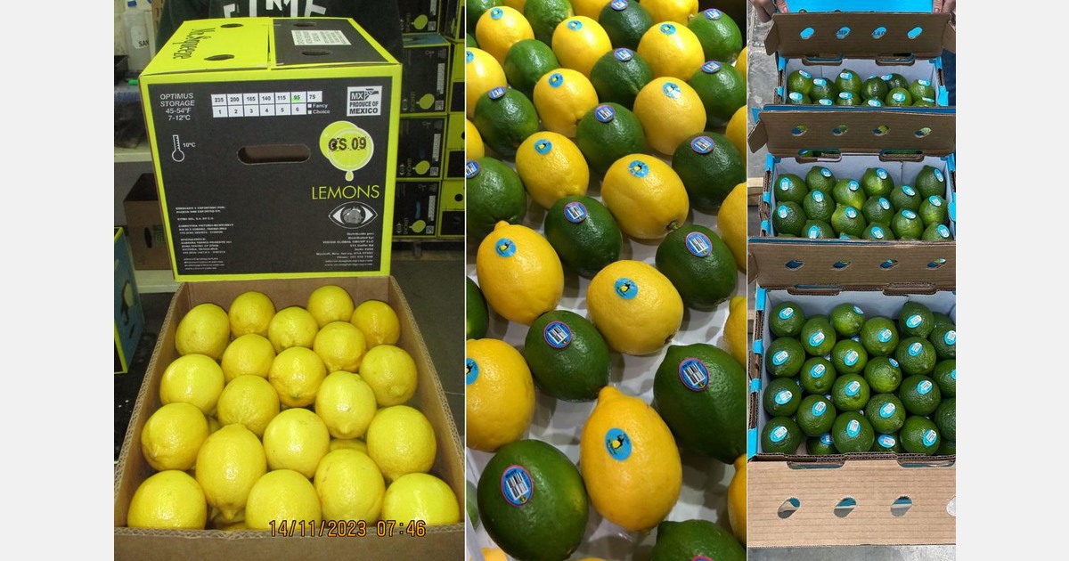 A good window for lemons from Mexico