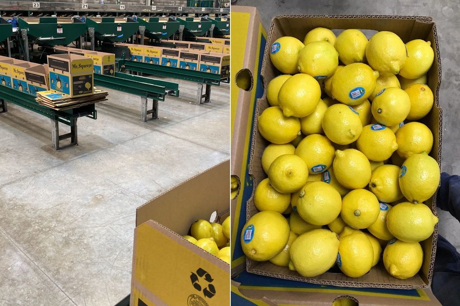 A good window for lemons from Mexico